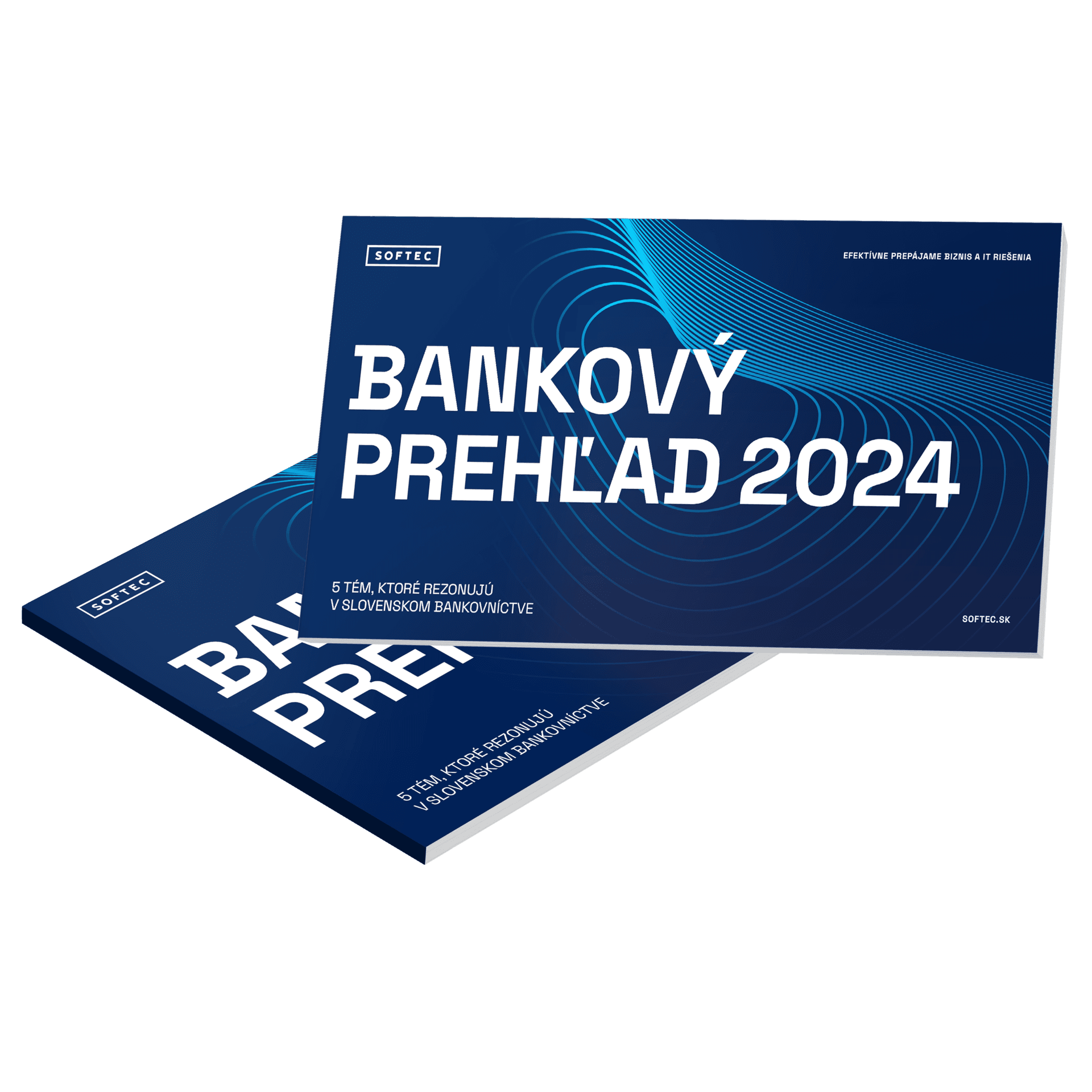 SOFTEC | Business & IT Integration