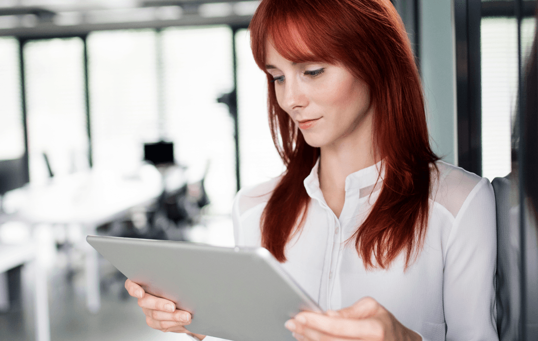 SOFTEC | Business & IT Integration